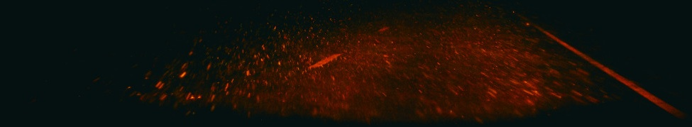 End of the Nail | Gleemer