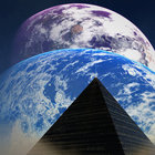 Primordial Algorhythm | Ancient Organism | ZuluTunes