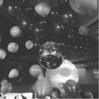 Stemming Back | ian finkelstein