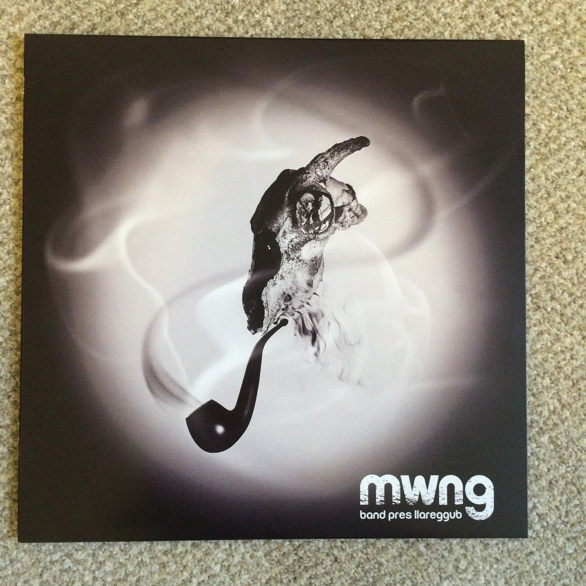 mwng | Band Pres Llareggub