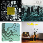 The Exitus and Reditus of Andrew Darkstar Parrish | Dear Other