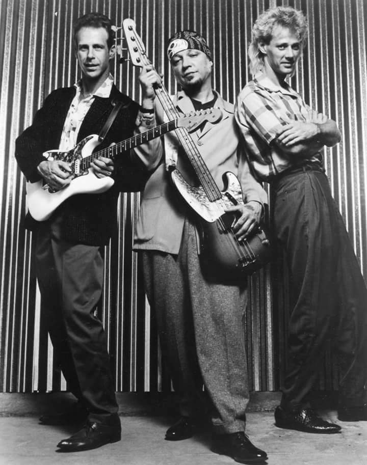 Swamp Rock | The Tail Gators