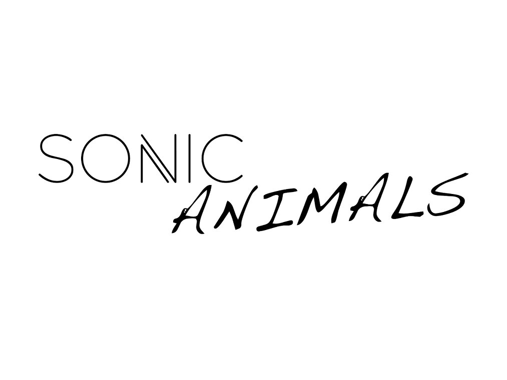 Sonic Animals EP | Sonic Animals
