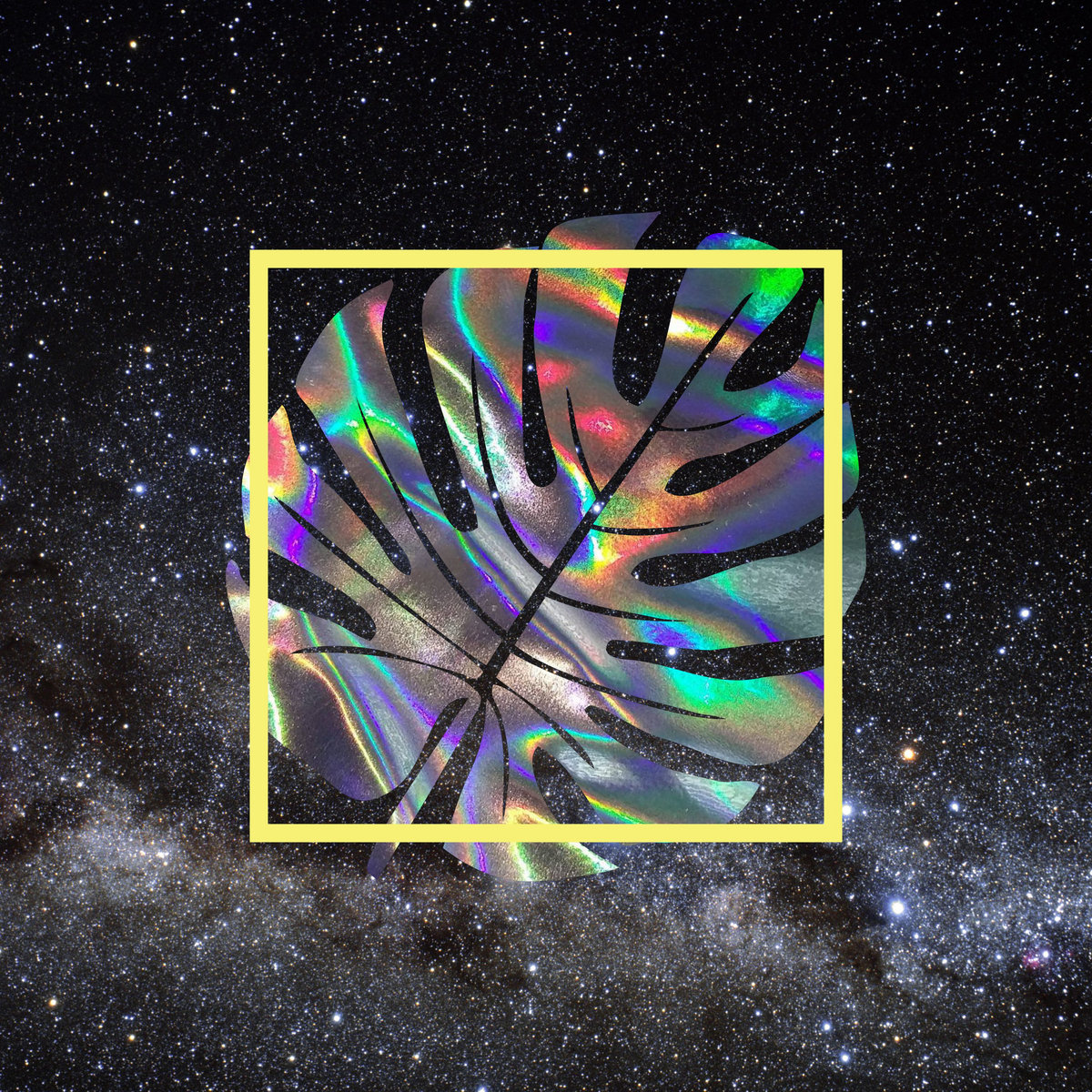 MONSTERA | Jorge Vision