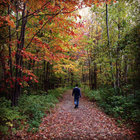 Winter Embrace (15th Anniversary Edition) | Altus | Altus Music