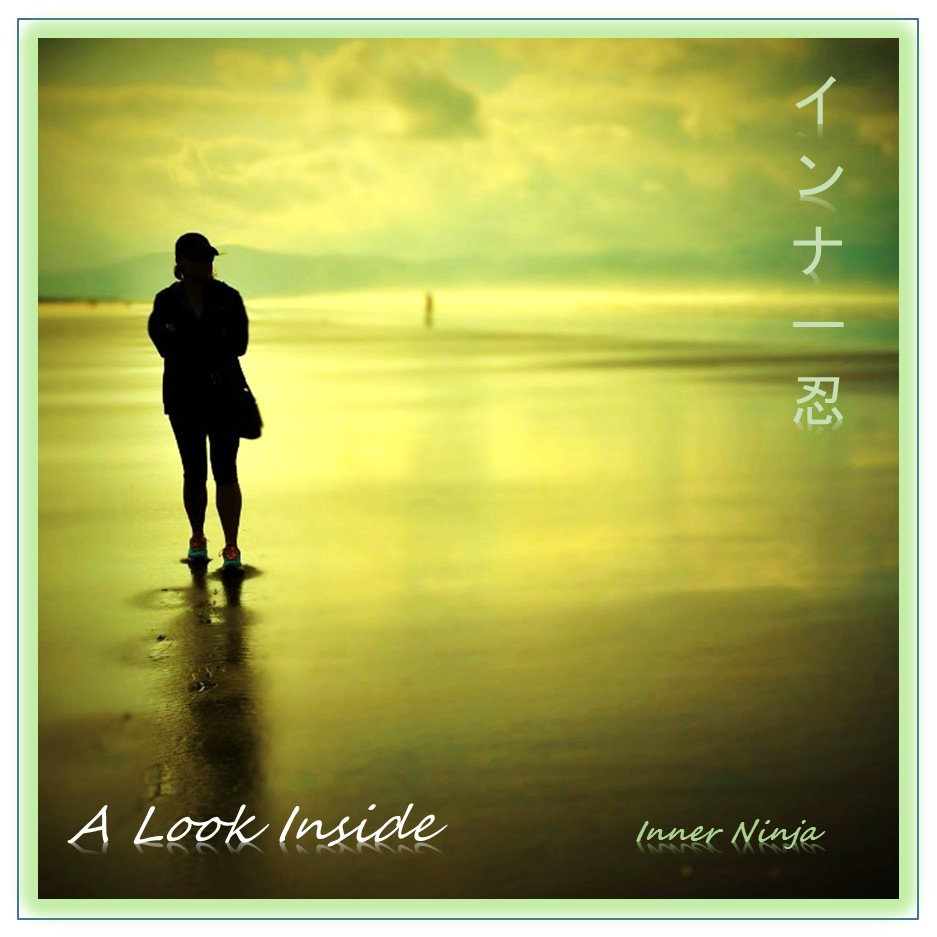 Breaks My Heart | Inner Ninja