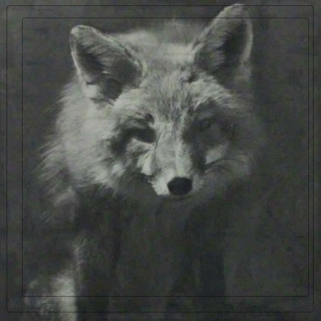 When Its my turn | I Doubles Feat. Dark Fox | Dark Fox