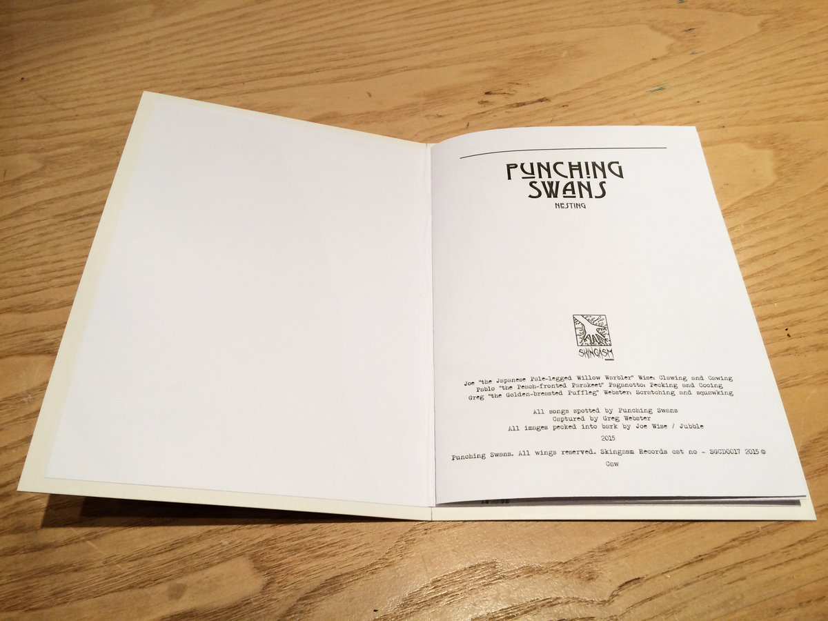 Nesting | Punching Swans
