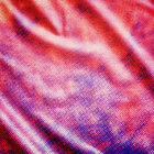 1977 | µ-Ziq | Mike Paradinas