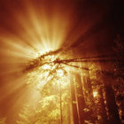 We Were Exploding Anyway + Heavy Sky (deluxe edition) | 65daysofstatic ...