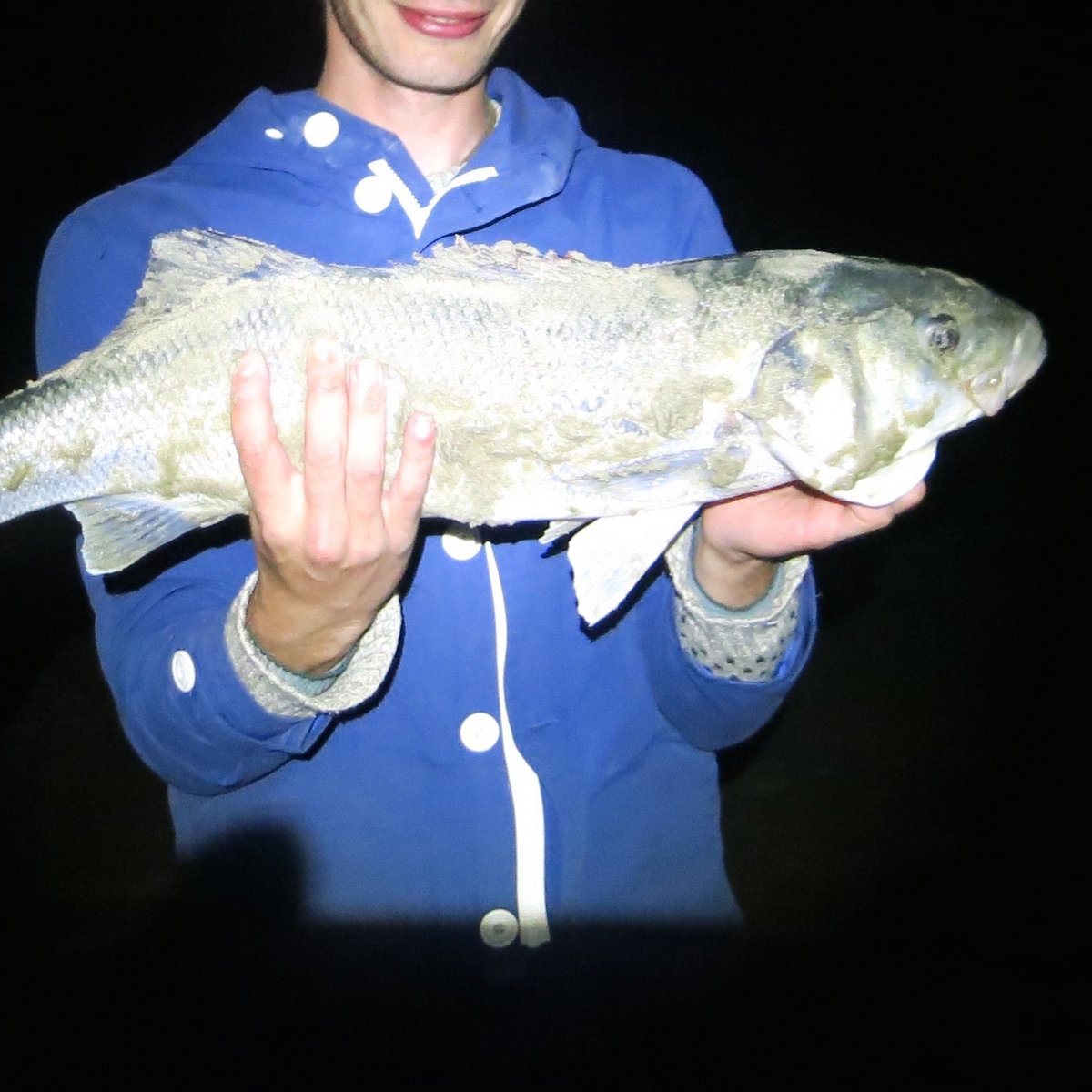 opbrakel | zoute vis