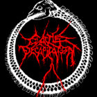 Snake Church | Ringworm