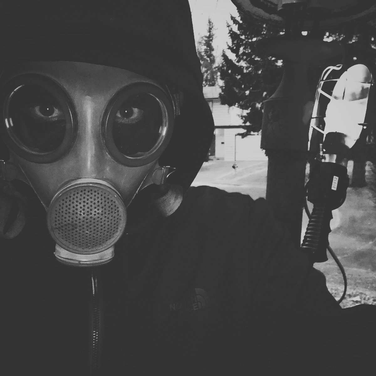 ii | scrim