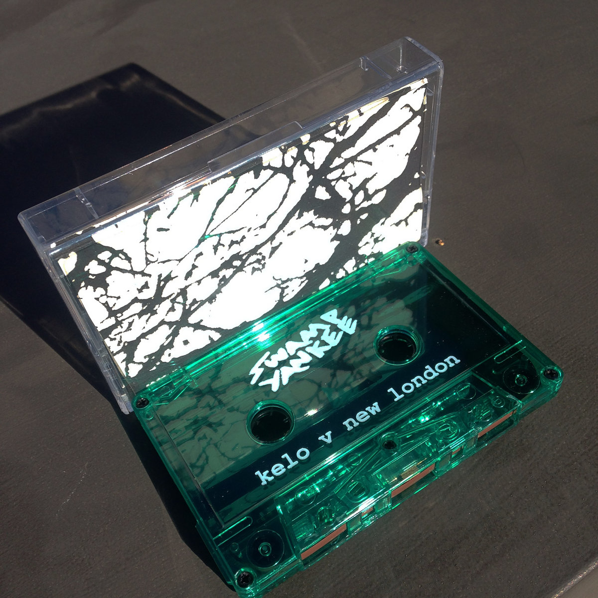 Kelo v New London | Swamp Yankee