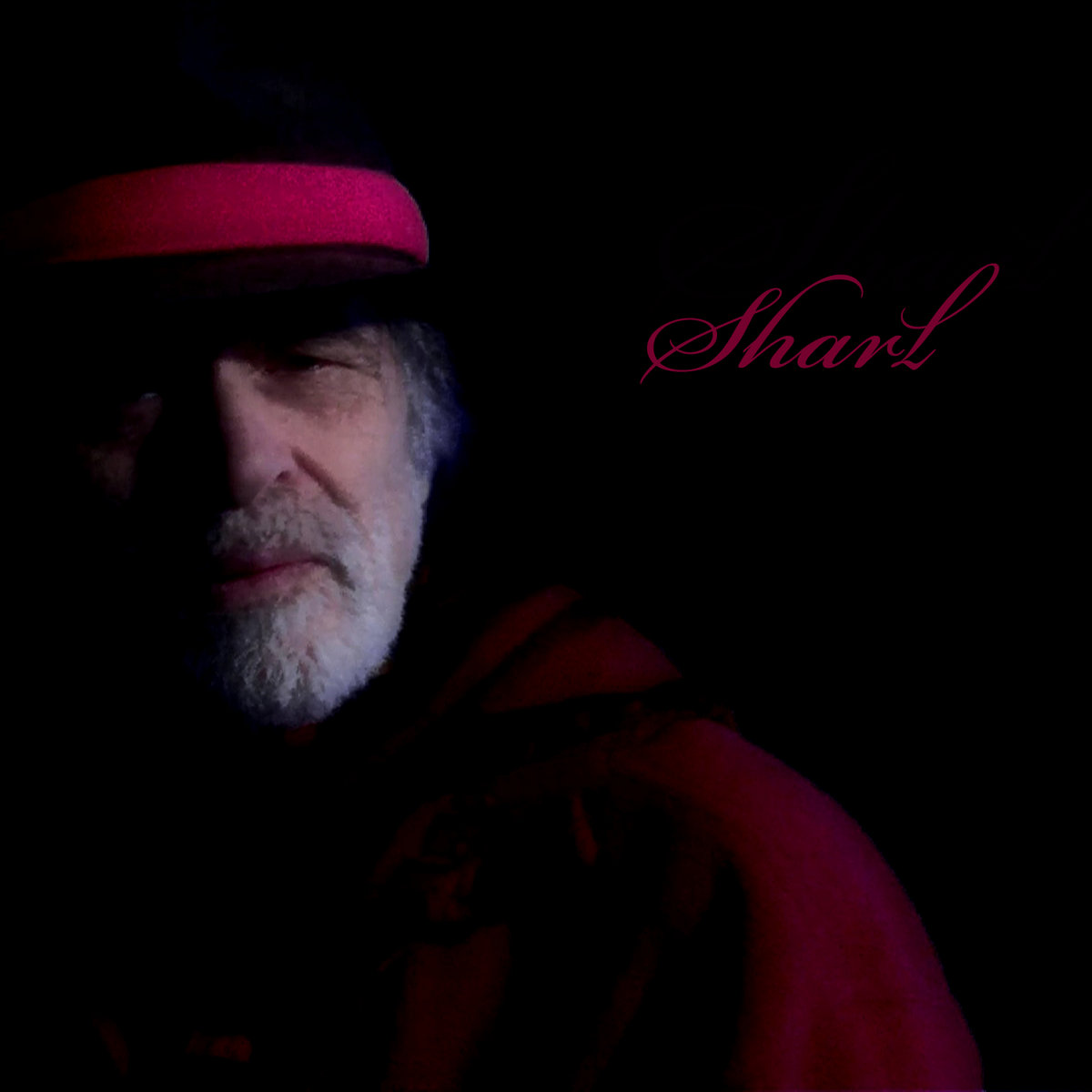 ASSASSINER DANS TES YEUX | Sharl