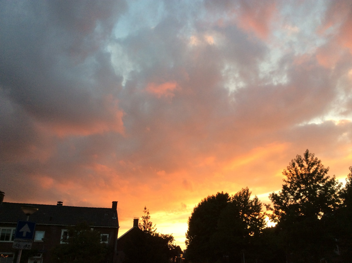 The Revealing | The Revealing | Diluvium