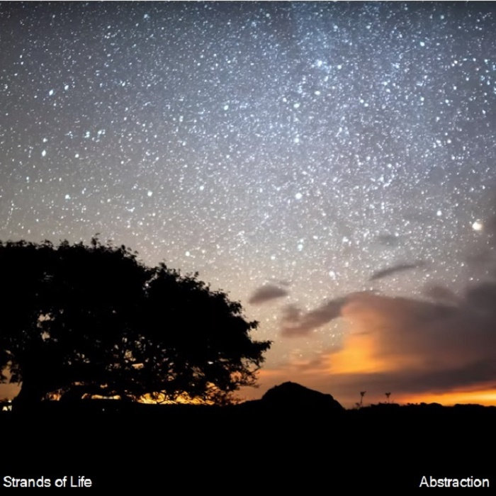 The Dark | Strands of Life