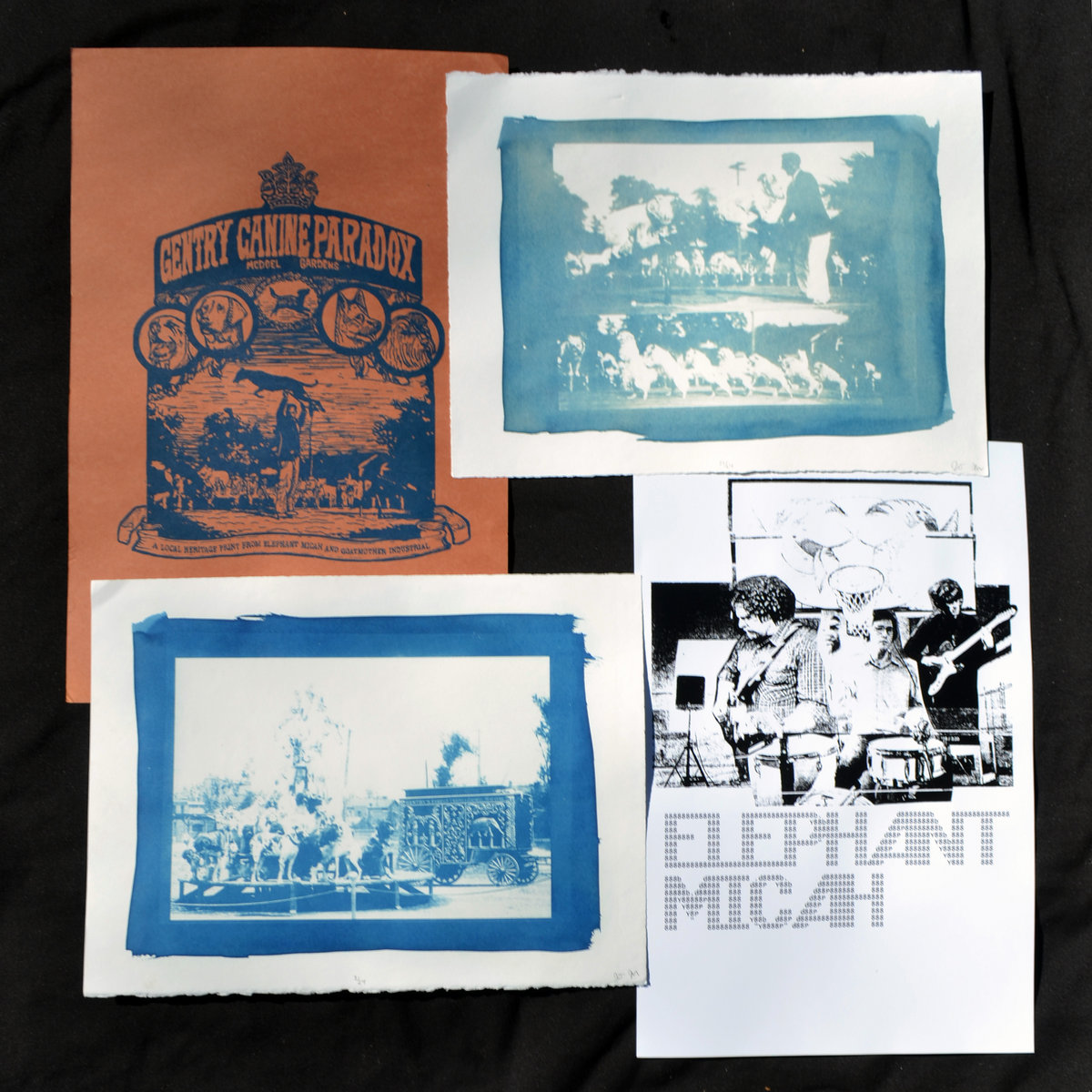 Print set | Elephant Micah