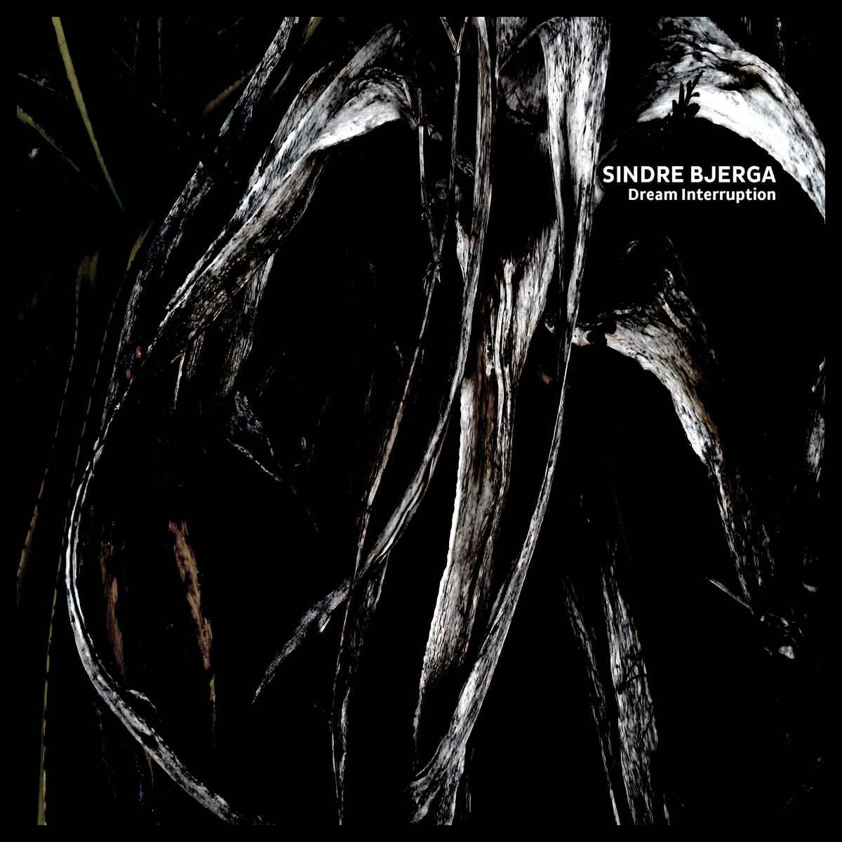 Dream Interruption | SINDRE BJERGA | attenuation circuit