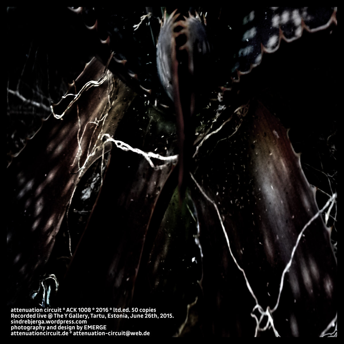 Dream Interruption | SINDRE BJERGA | attenuation circuit