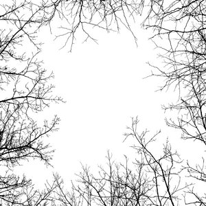 Music | Ben Kammerer