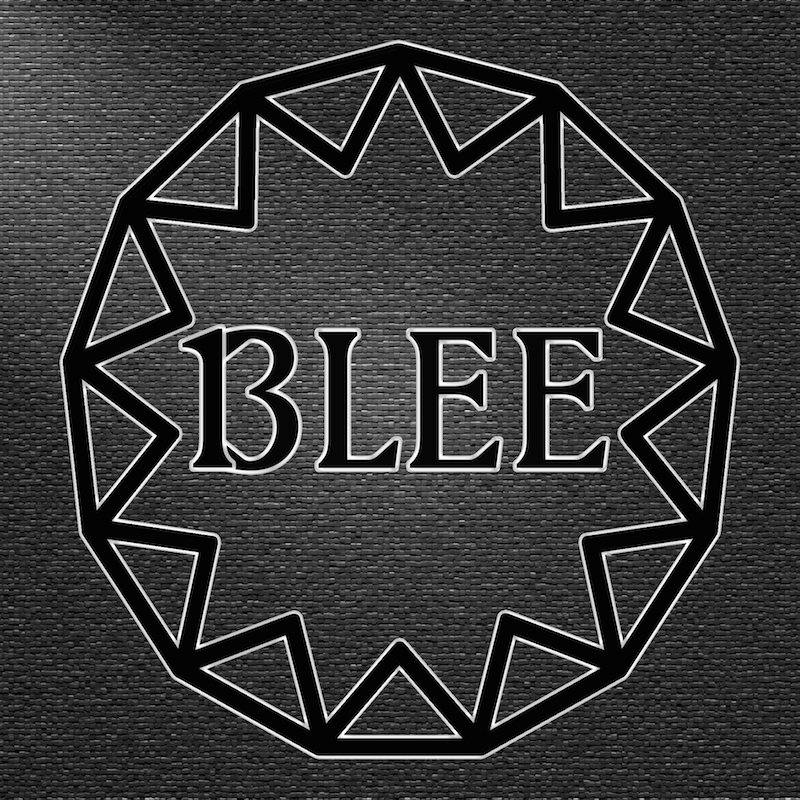 Feeling Like A King | Blee