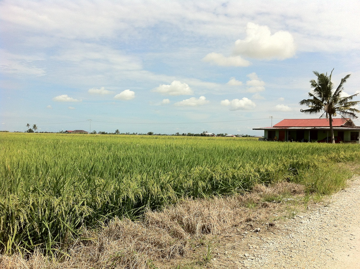 UTARIAN's VOICE | Ean Lee