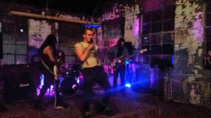 Music | Leopard Print