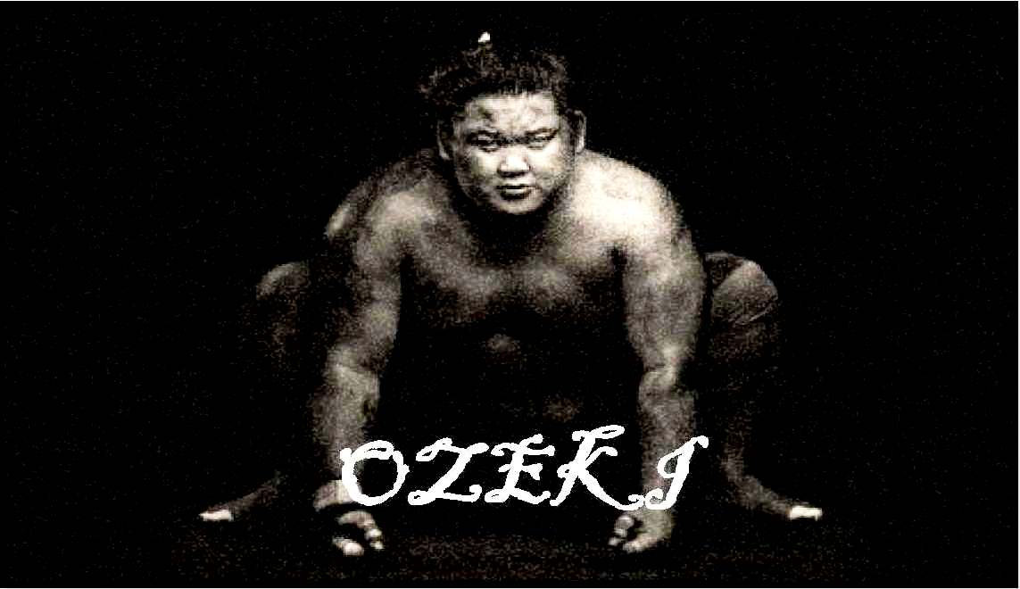 2016 Demo | Ozeki