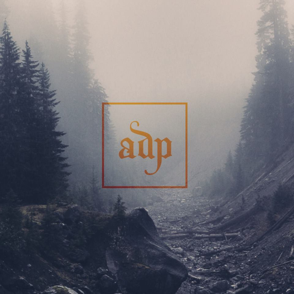 Hidden Excellence | ADP