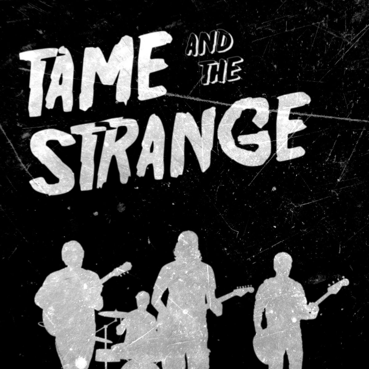Tame and the Strange | Tame and the Strange