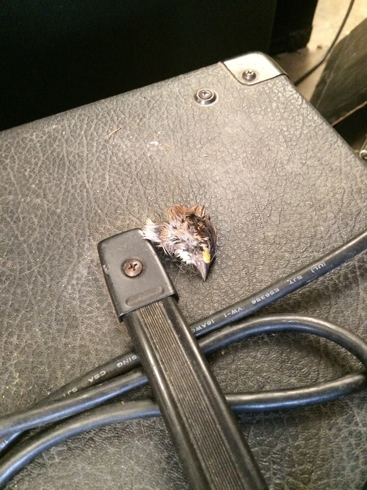 II: garage | chunky huse