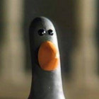 Joy, Departed | Sorority Noise