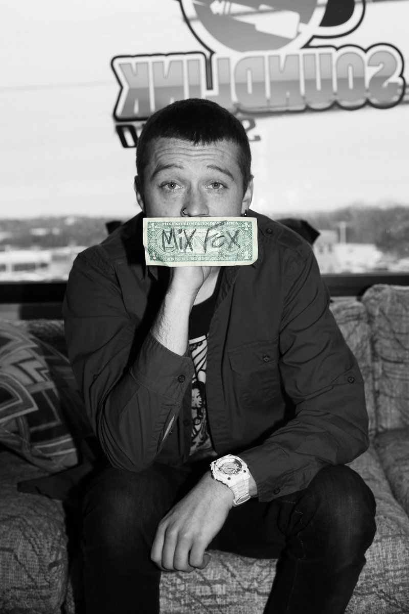 The Mix Fox LP | Mix Fox