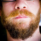 Joy, Departed | Sorority Noise