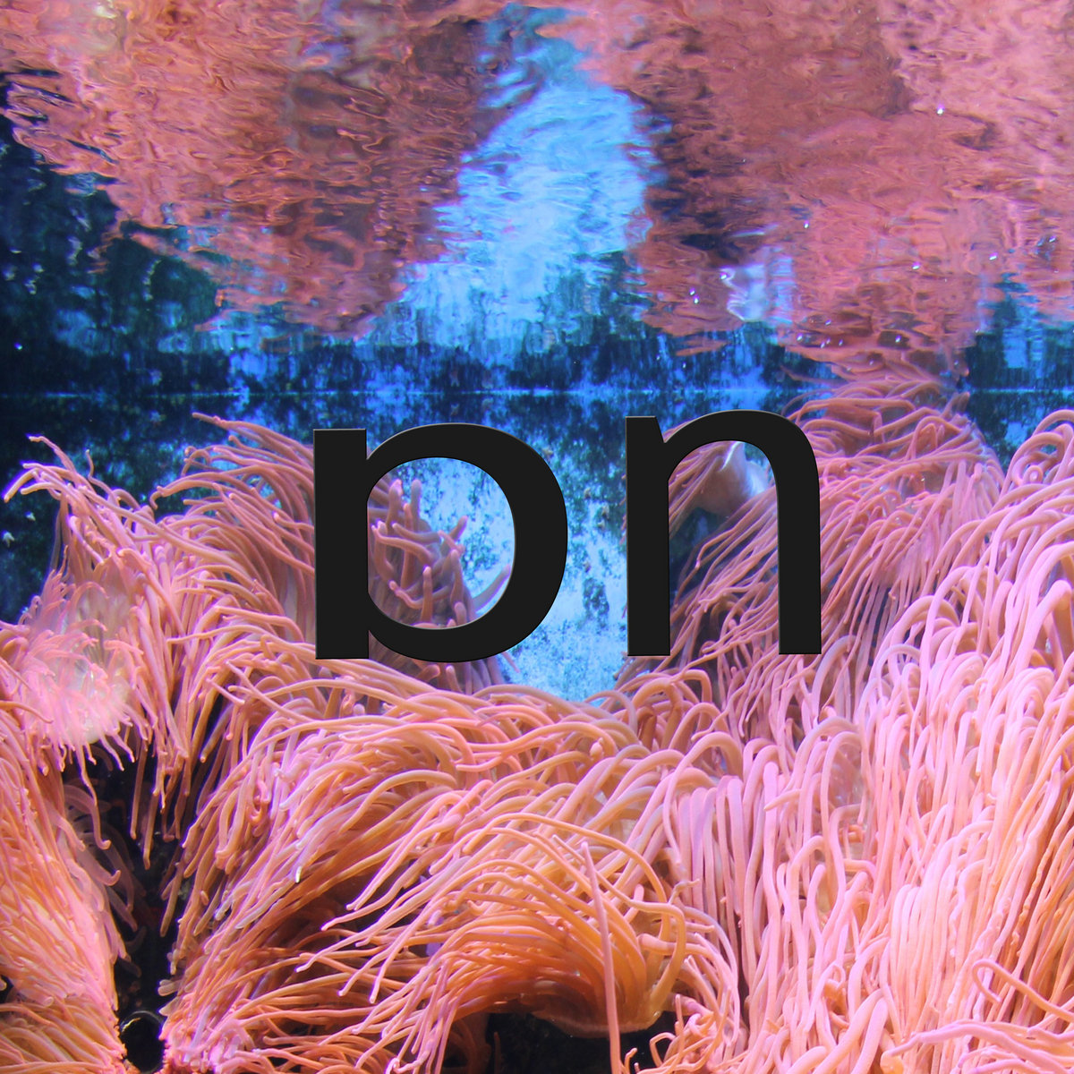 Psycho (Jack Kittel duet) | Optic Nerve