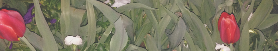 An Indication | Shyla Buff