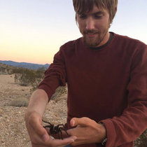 sdmalone's collection | Bandcamp