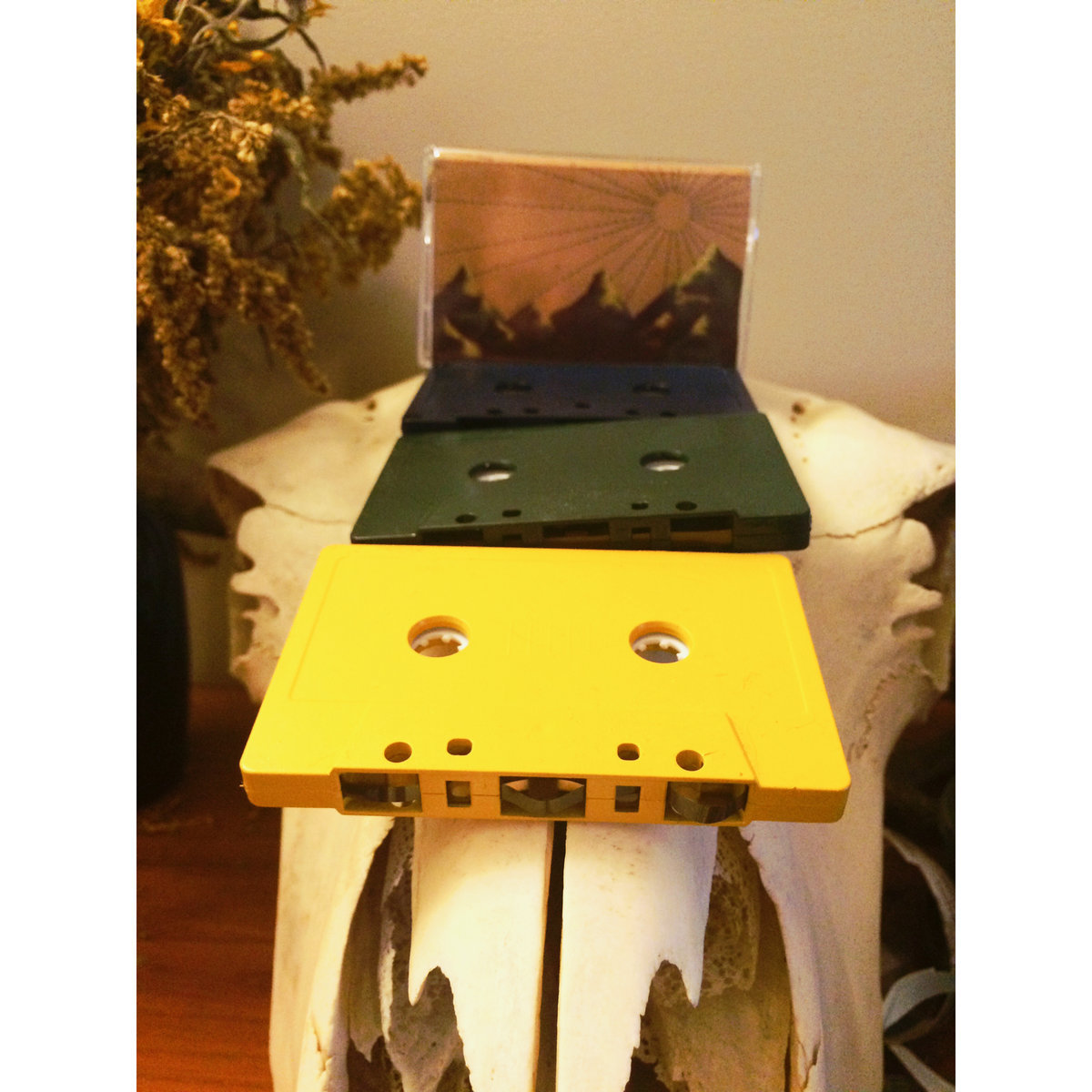 Lonesome Pine Drive In | Withdrawn Records