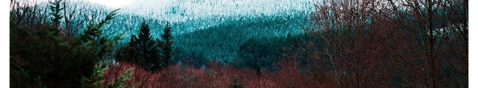 Progression | Forrest Reed