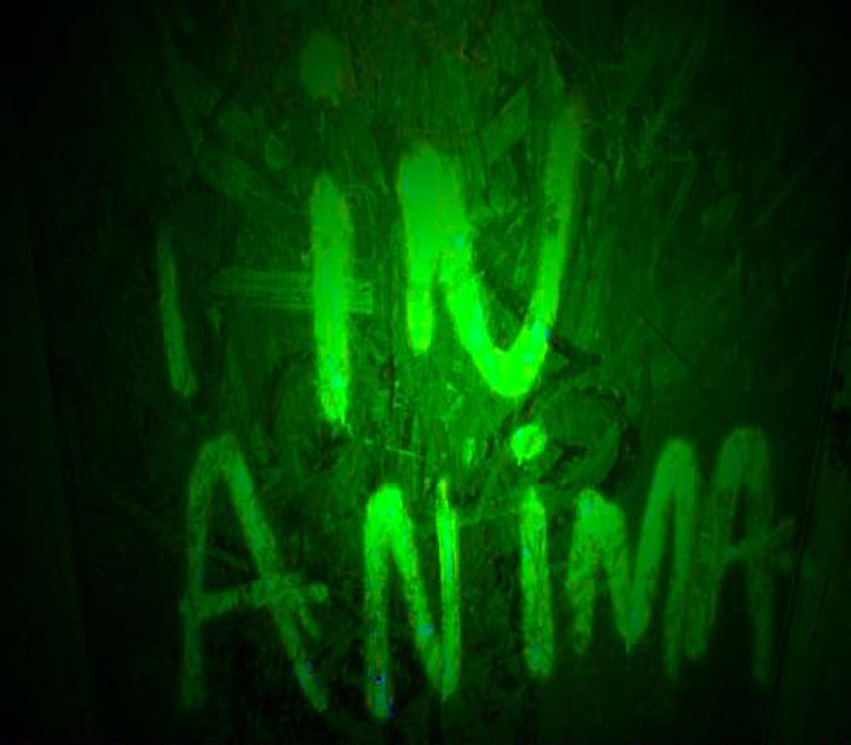 IN ANIMA EP | In Anima