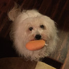 Spellbound | Elvellon