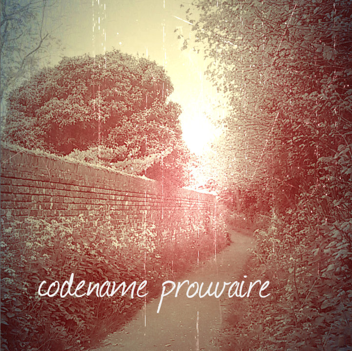 Something's Gotta Give | Codename Prouvaire