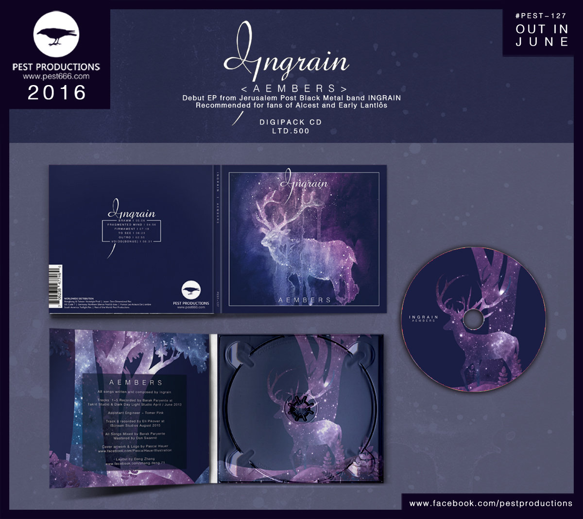 Aembers | INGRAIN | Pest Productions