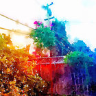 A I A : Alien Observer | Grouper