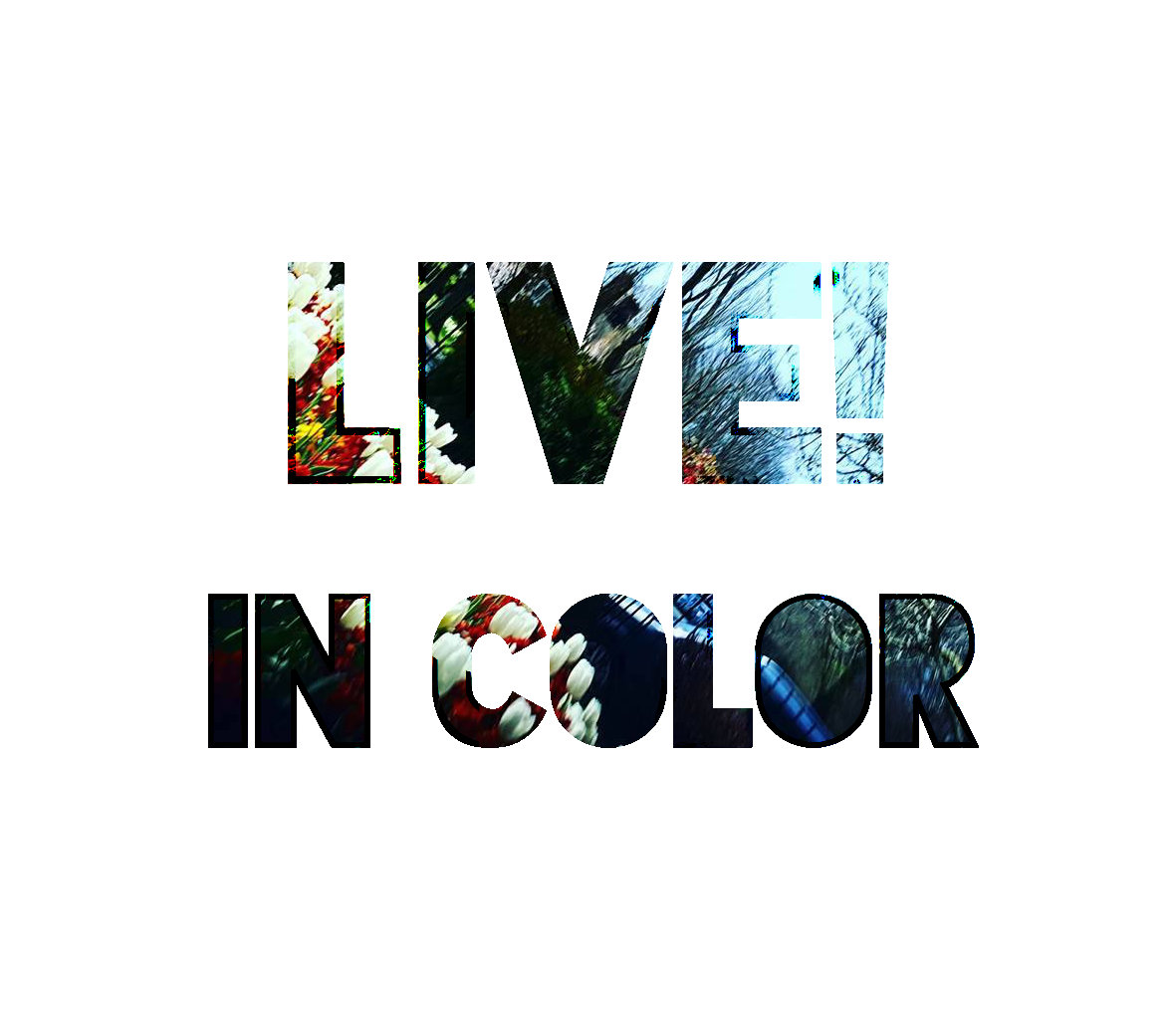 Found You | Live! In Color