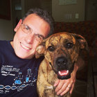 The Pollen & The Rot | Curtis McMurtry