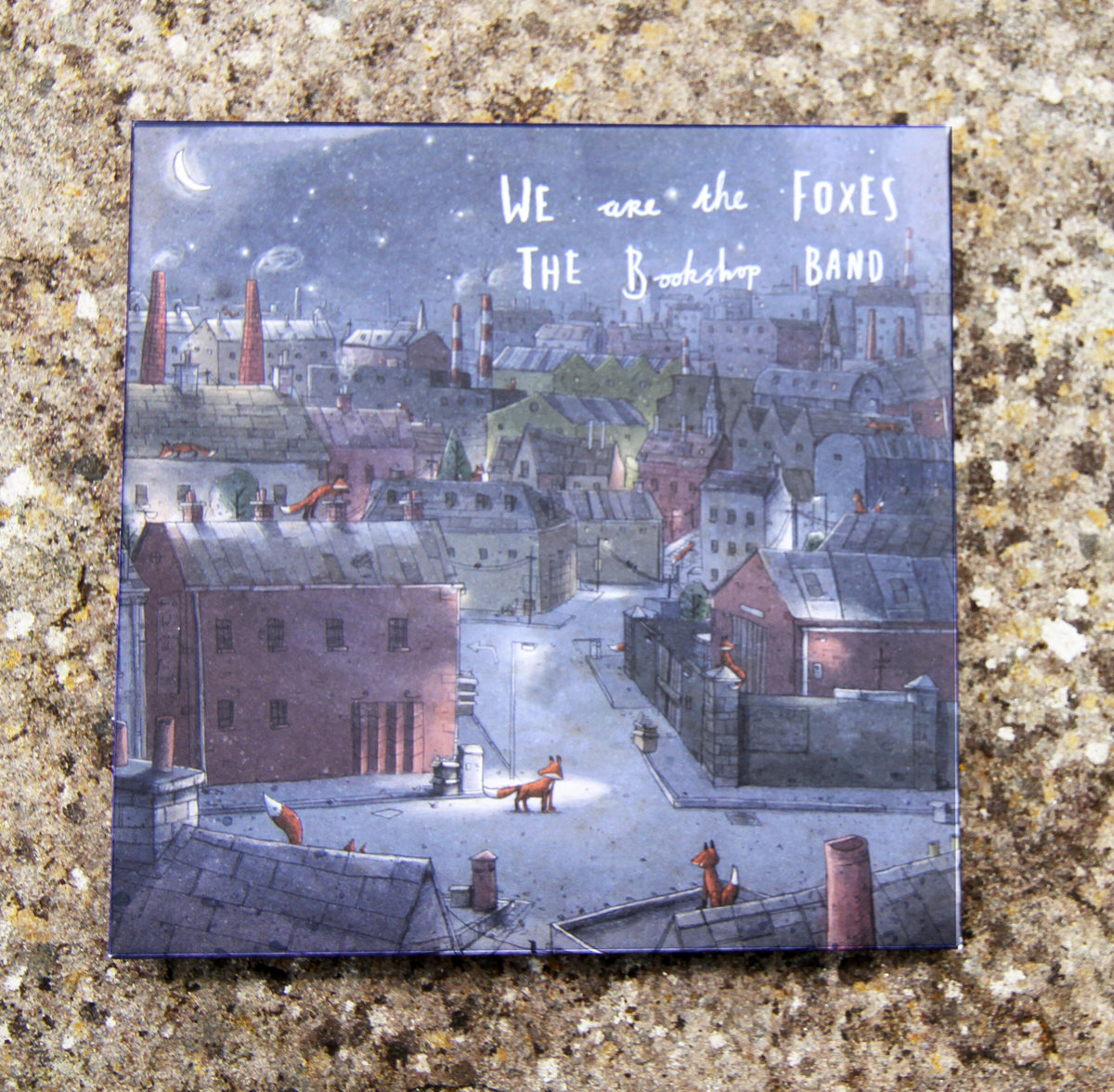 We Are The Foxes | The Bookshop Band