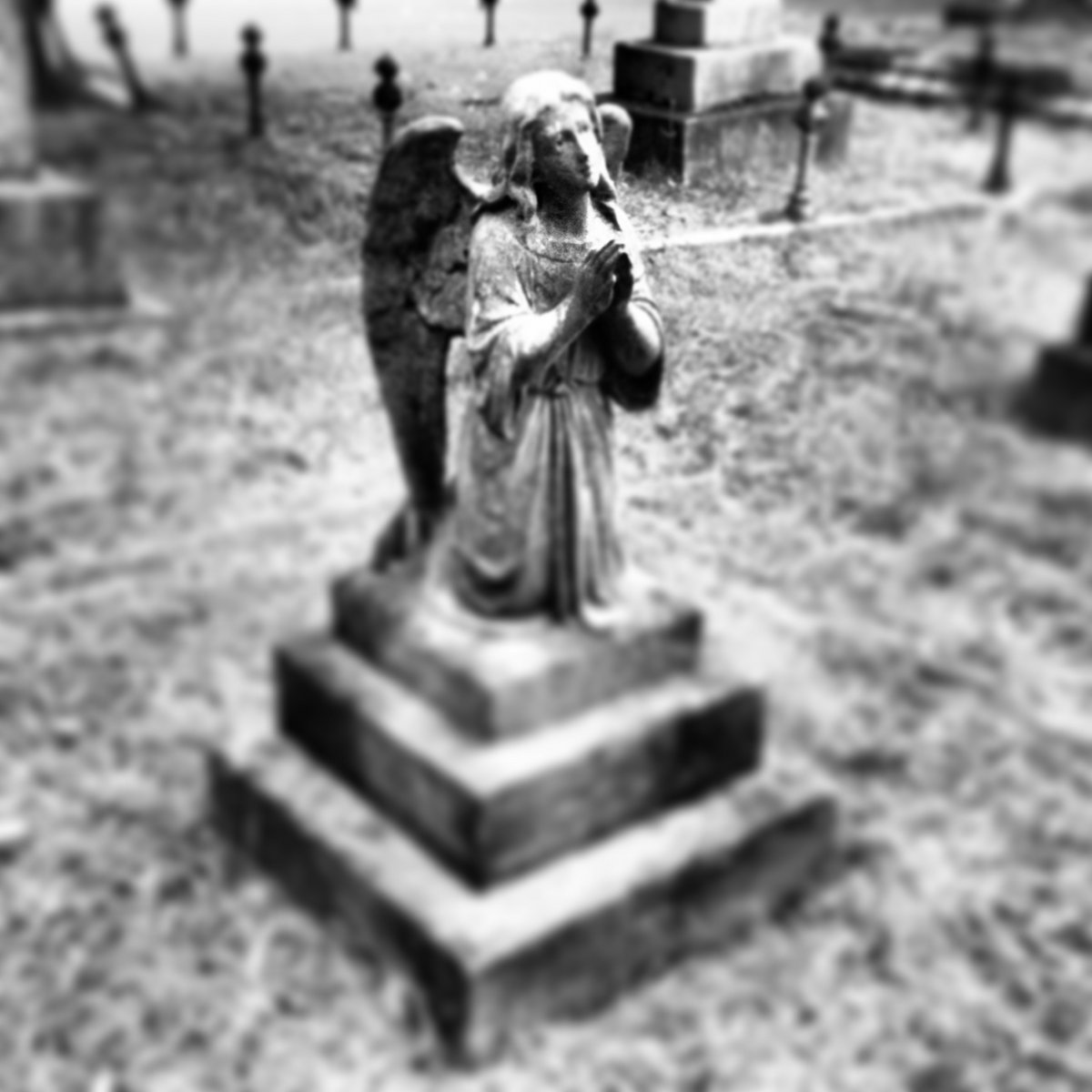 Heartstrings | Echo One