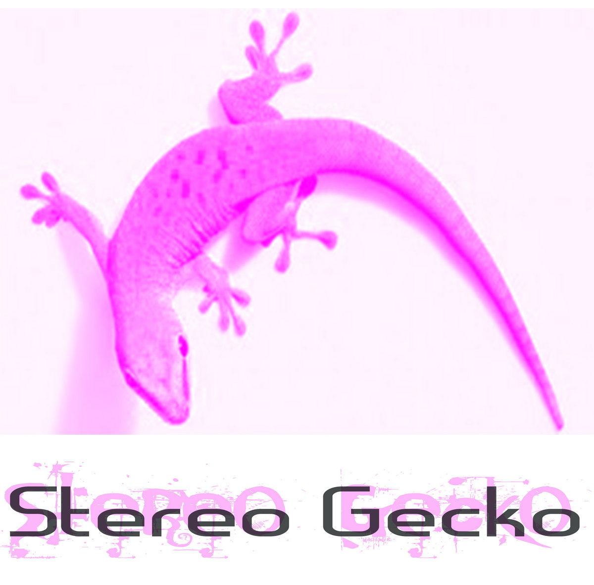 The Nu Dub | Stereo Gecko